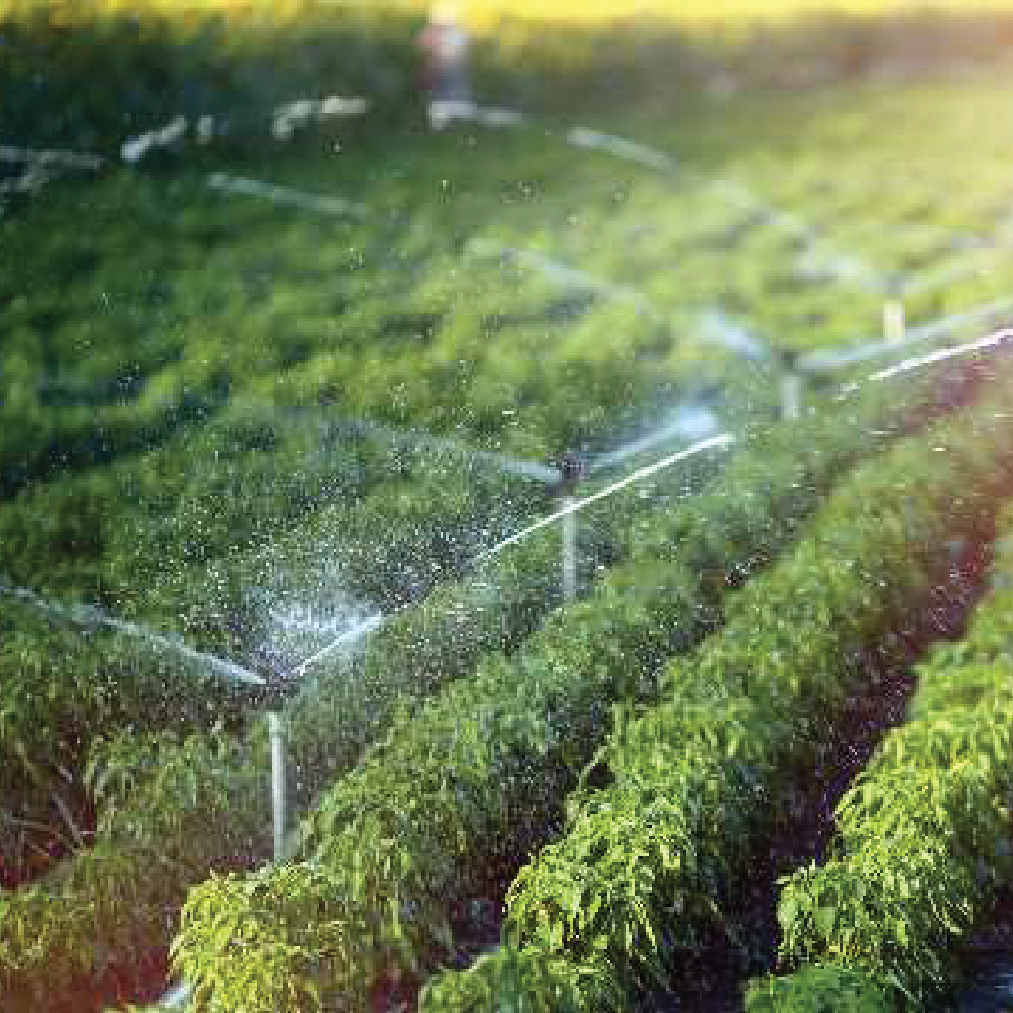 Hydro-Air Process Instruments: Manufacturers for Water Quality Analysers